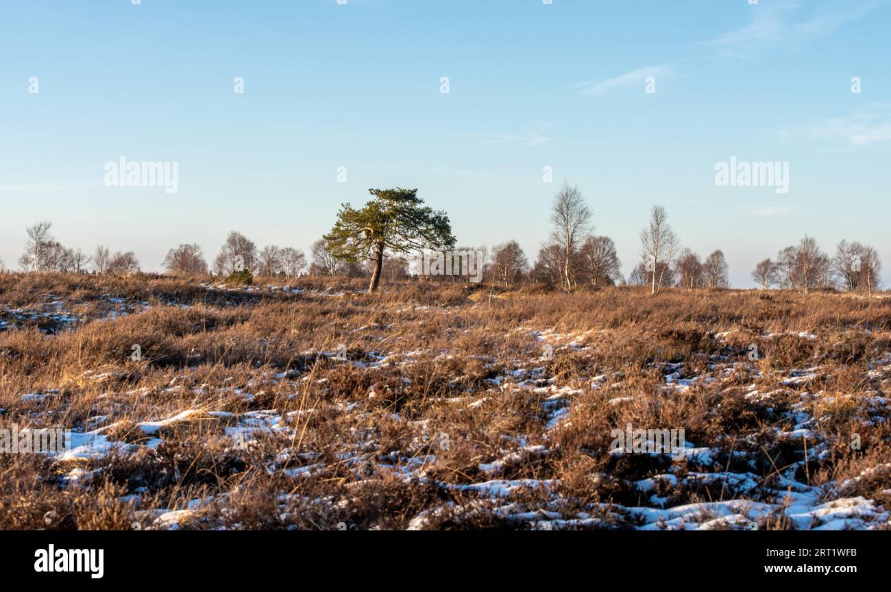 Moor hiking hi-res stock photography and images - Alamy