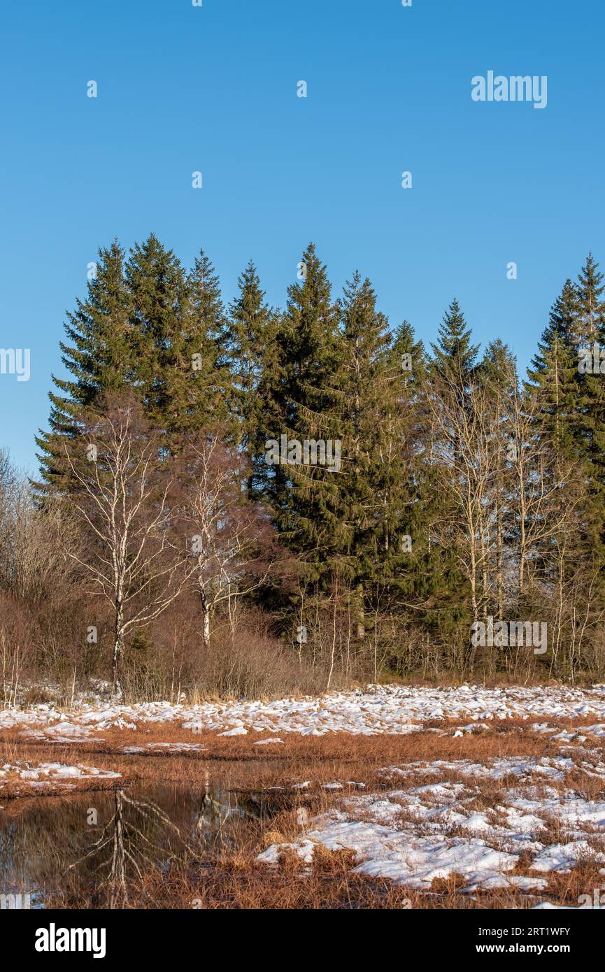 Moor hiking hi-res stock photography and images - Alamy