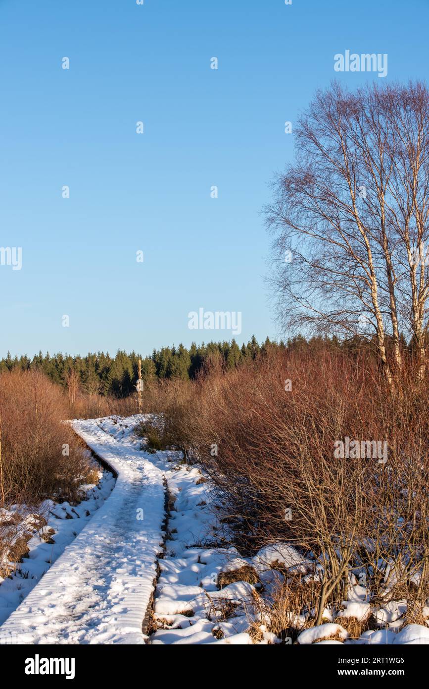 Moor hiking hi-res stock photography and images - Alamy