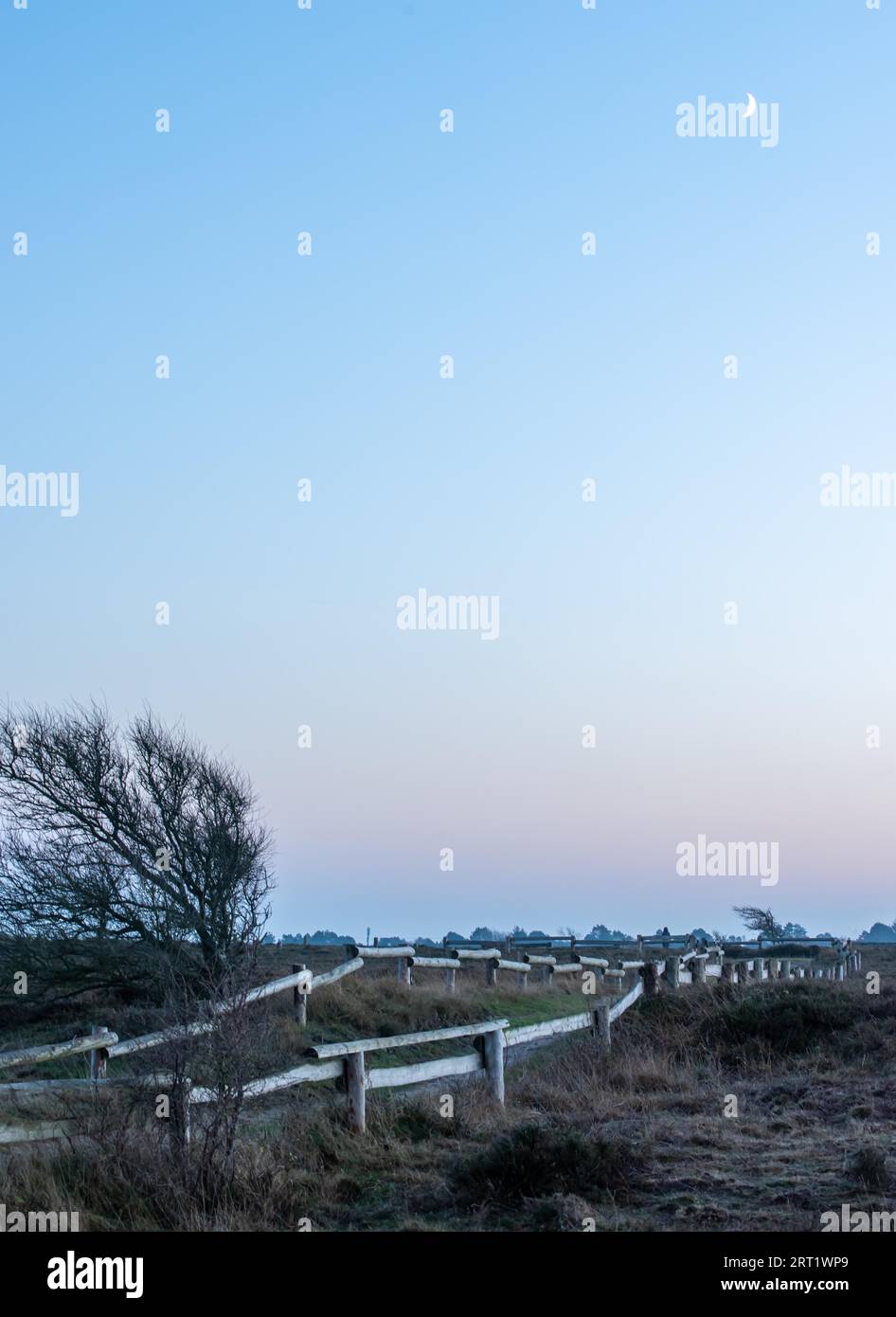 Edge of a trail hi-res stock photography and images - Alamy