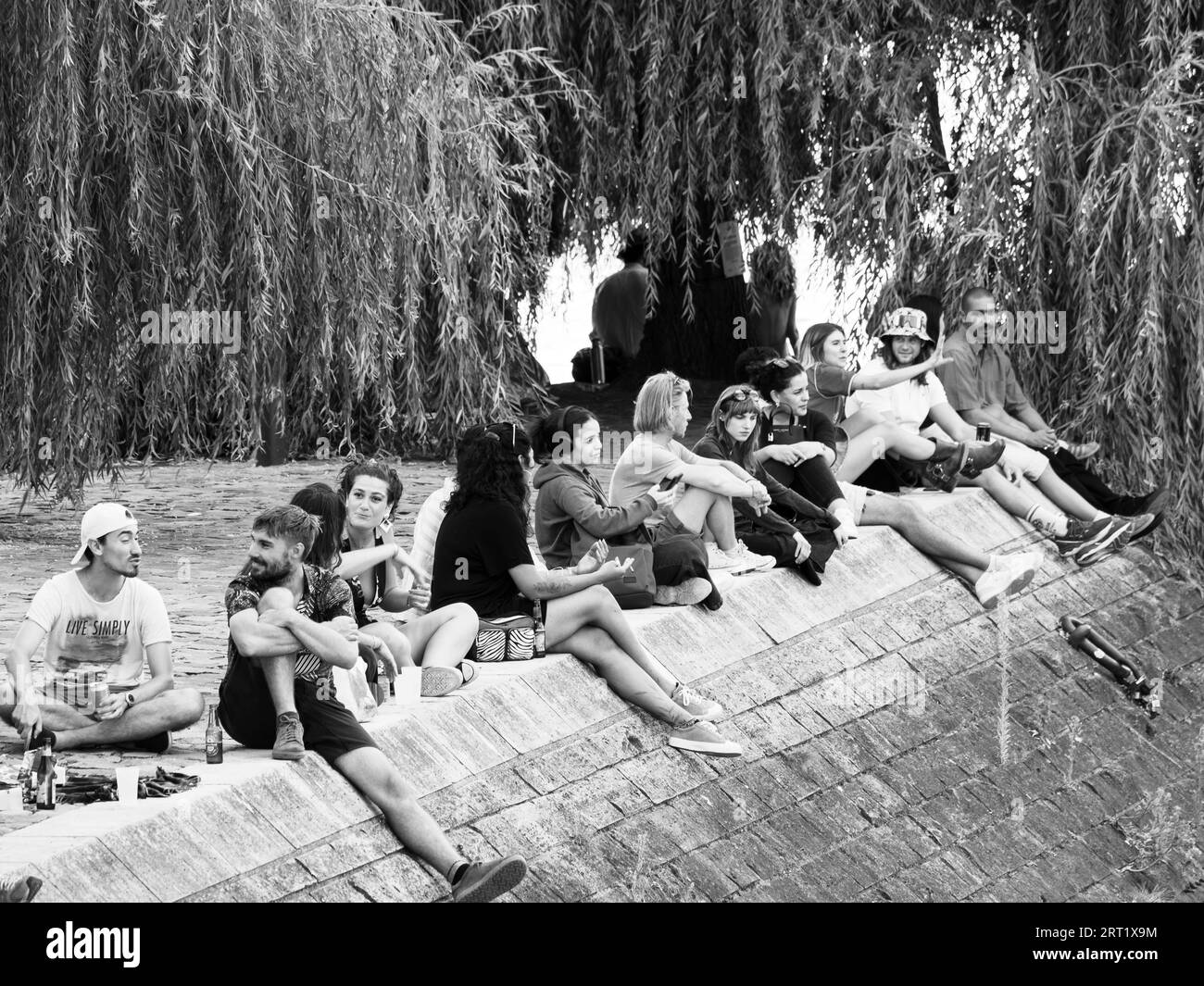 Black and White, People Sitting and Relaxing at ,Saule Pleureur de la ...