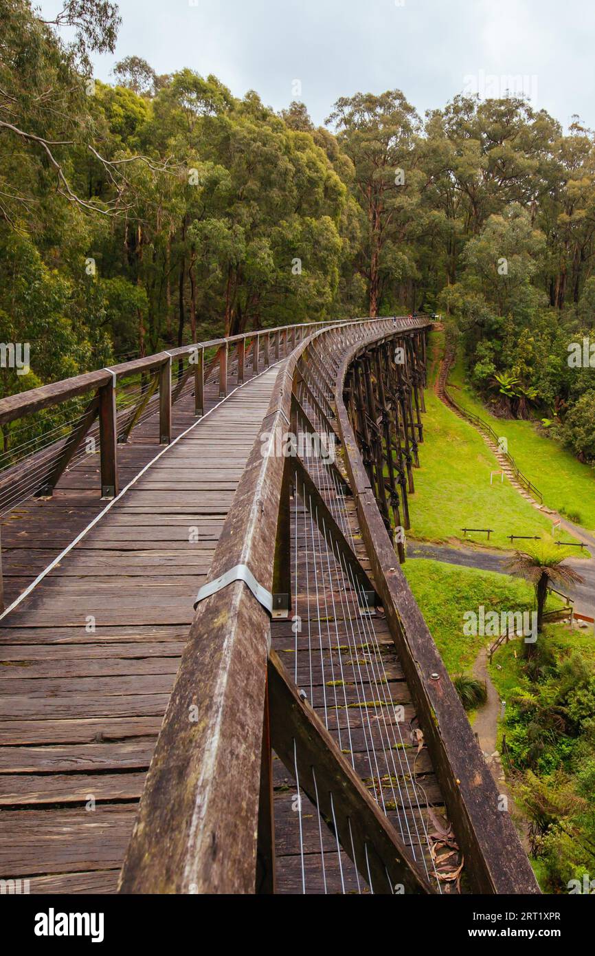 The famous Noojee Trestle Rail Bridge on a cool wet spring day in ...