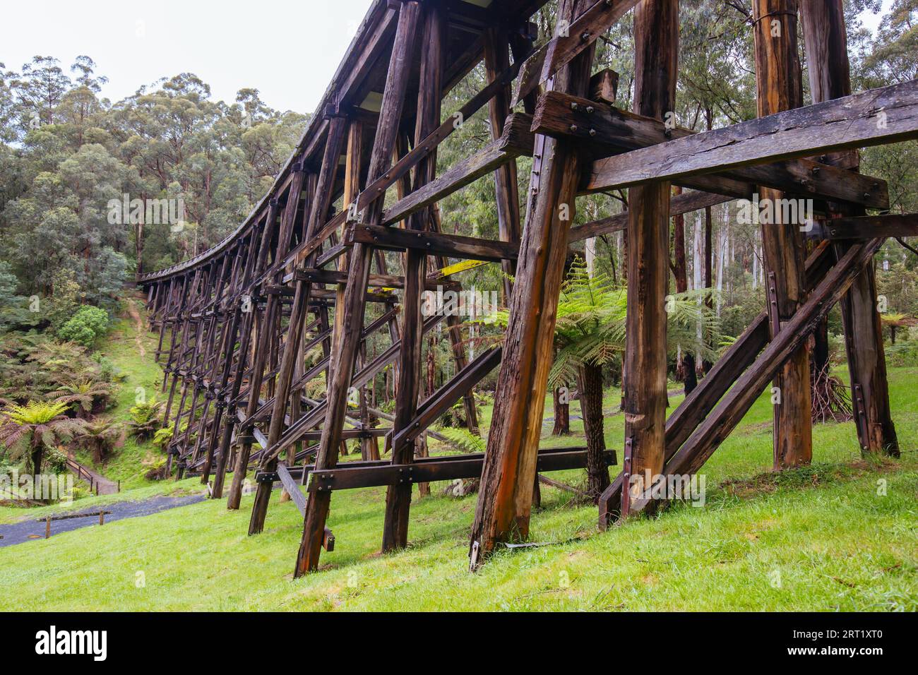 The famous Noojee Trestle Rail Bridge on a cool wet spring day in ...