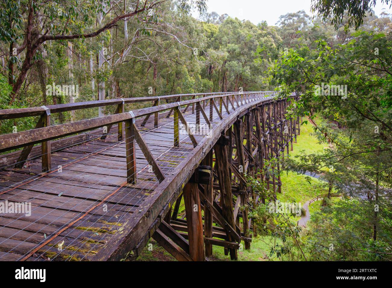 The famous Noojee Trestle Rail Bridge on a cool wet spring day in ...