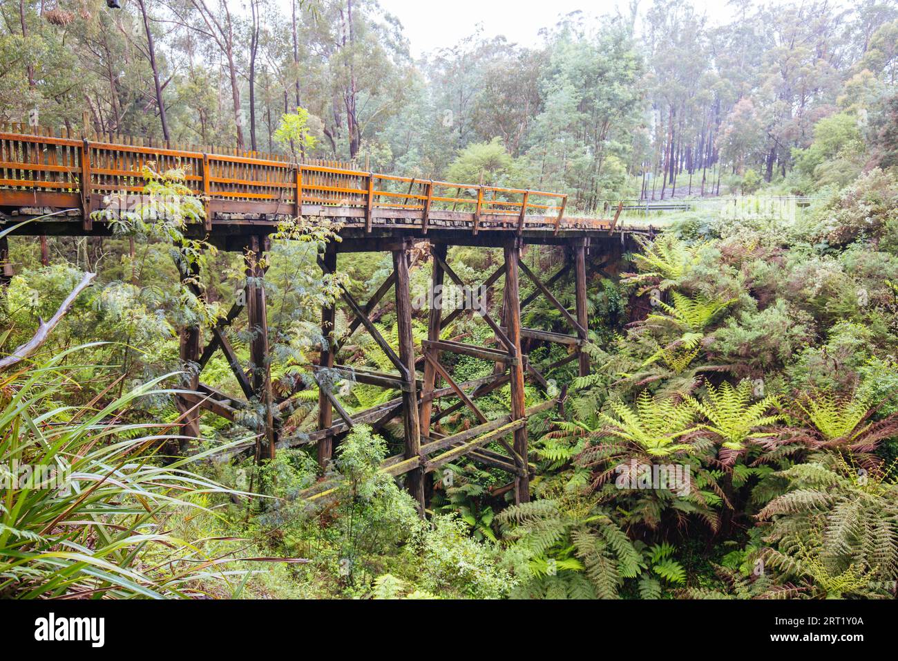 The famous Noojee Trestle Rail Bridge on a cool wet spring day in ...