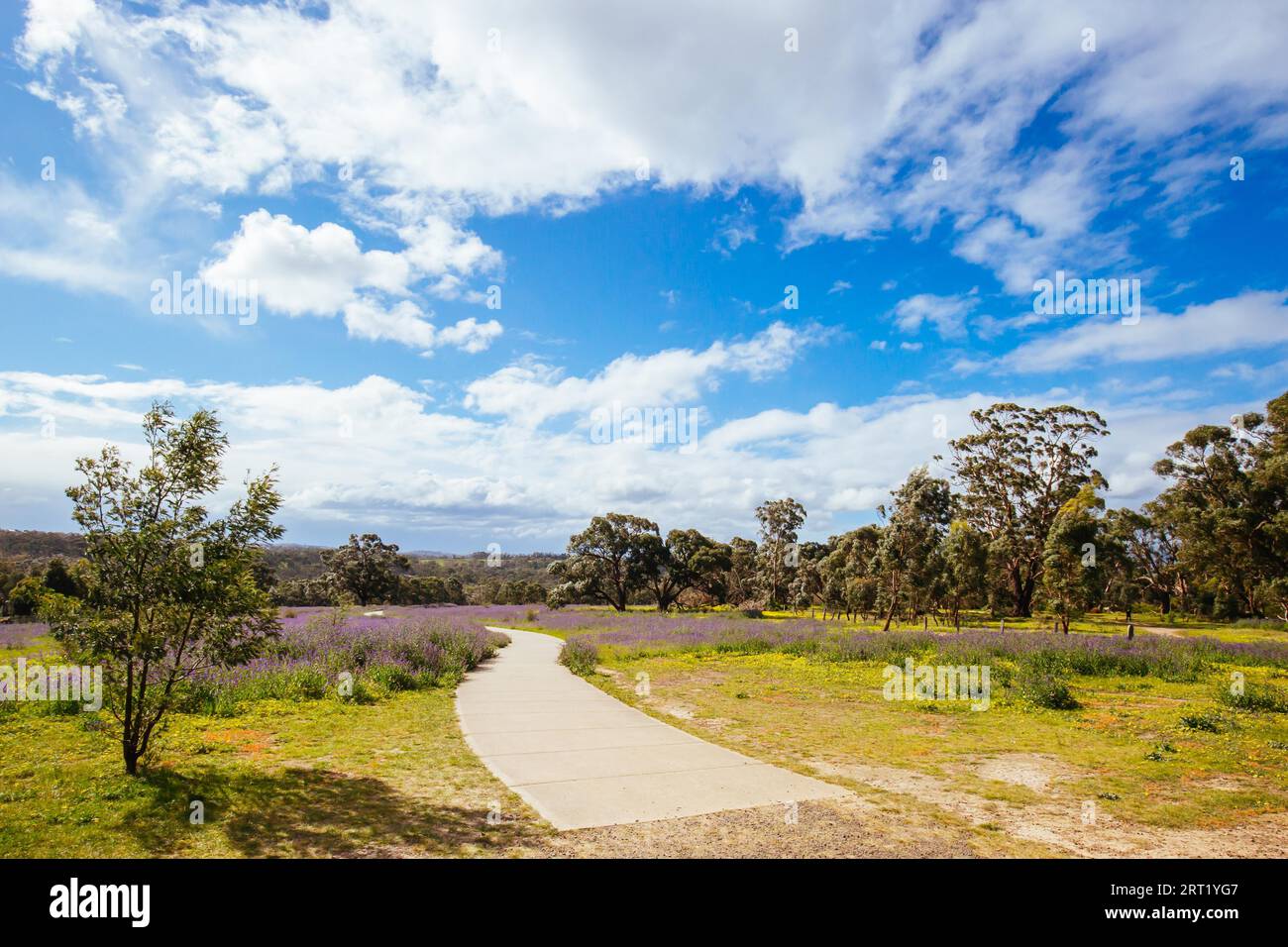 A warm spring day with fields of flowers in Plenty Gorge State Park in ...