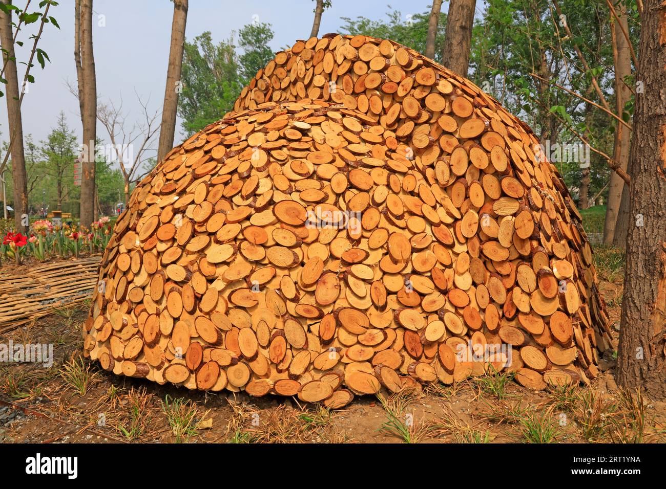 Unique cross sections hi-res stock photography and images - Alamy