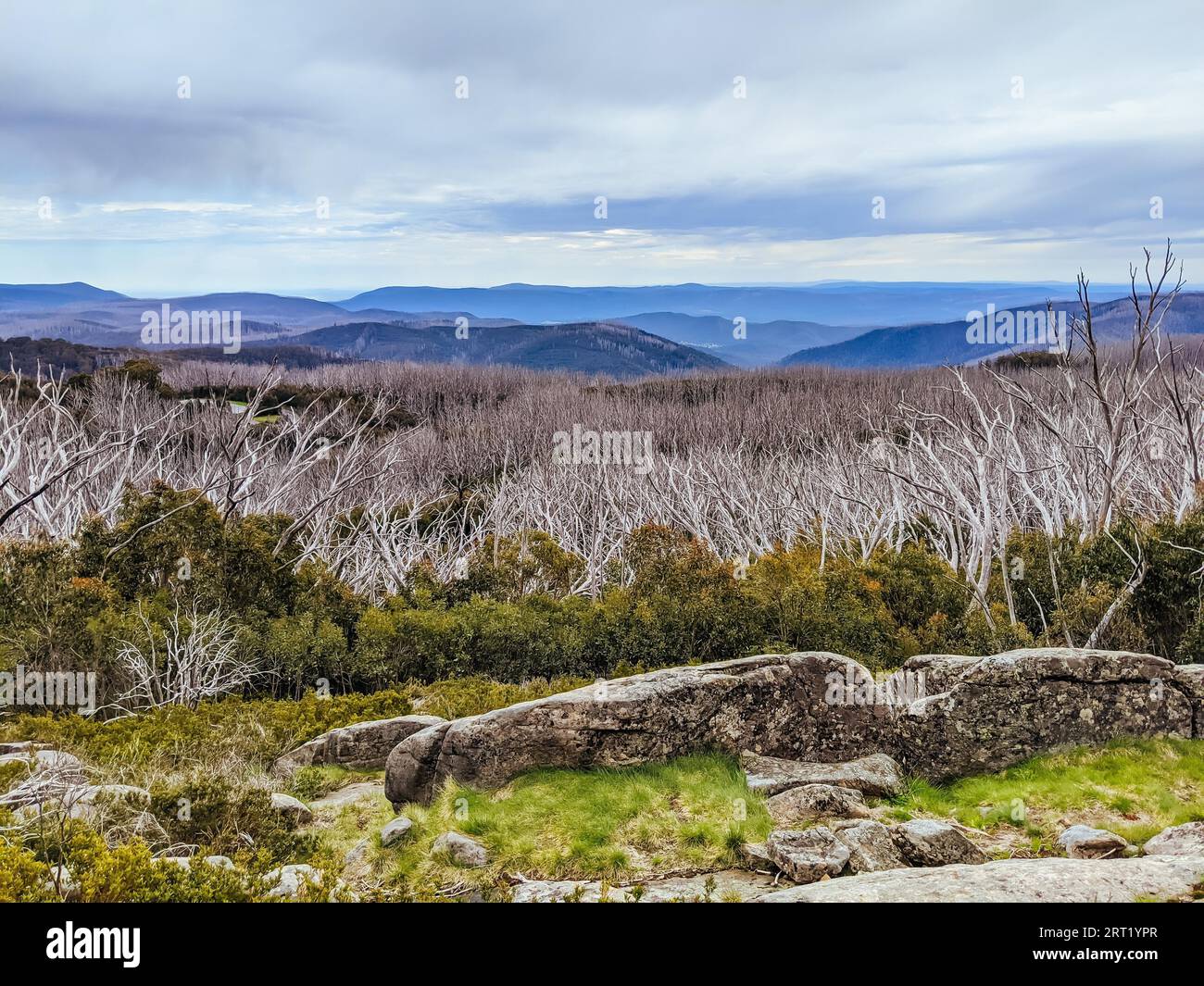 The popular Lake Mountain bike park and Taggerty Valley view near ...