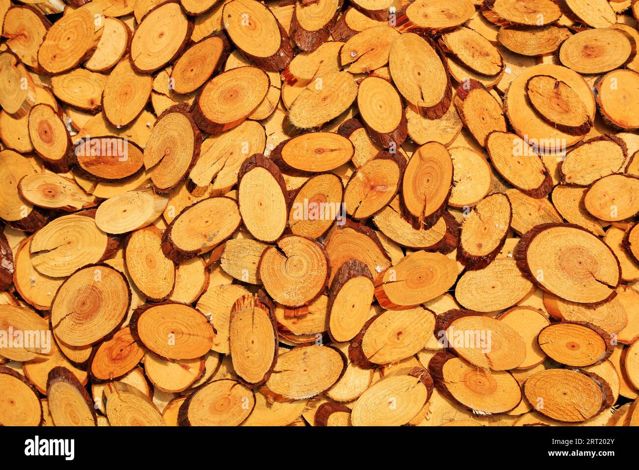 pine wood Log background Stock Photo - Alamy