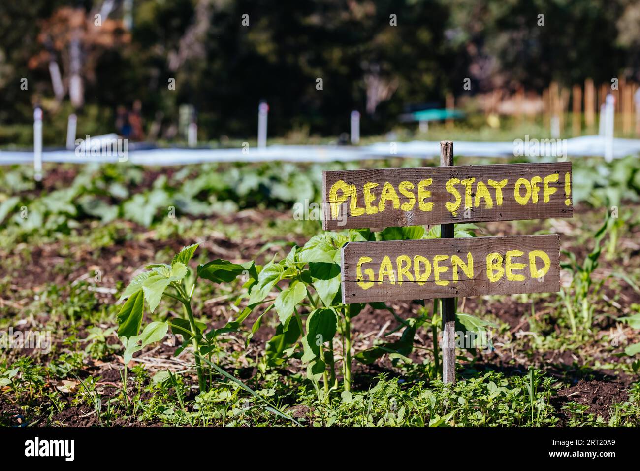 A community garden plot with warning sign in central Melbourne in ...