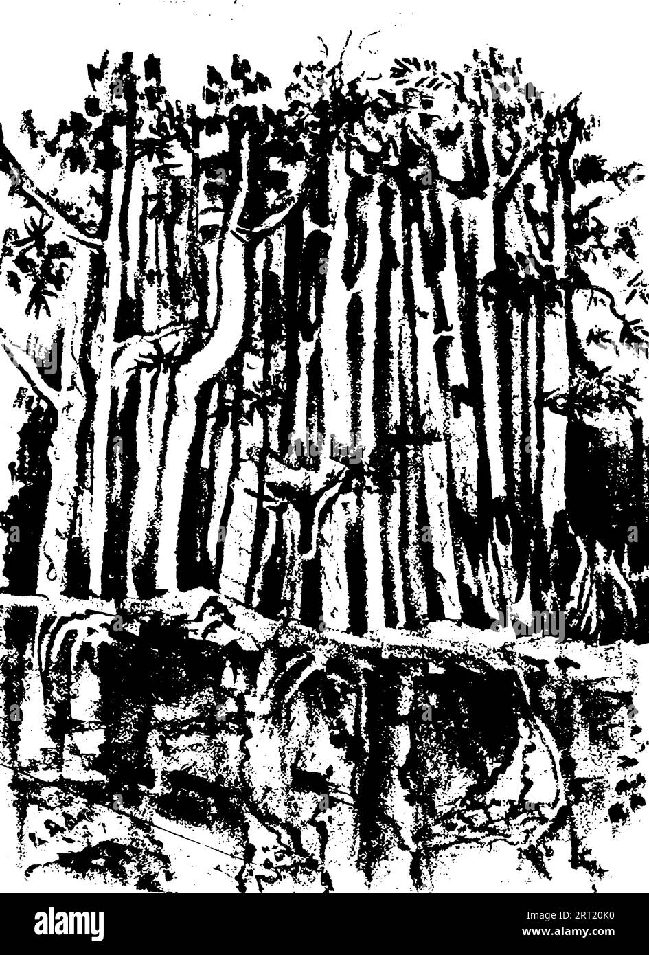 Natural landscape in graphic style, hand drawn and converted to vector ...