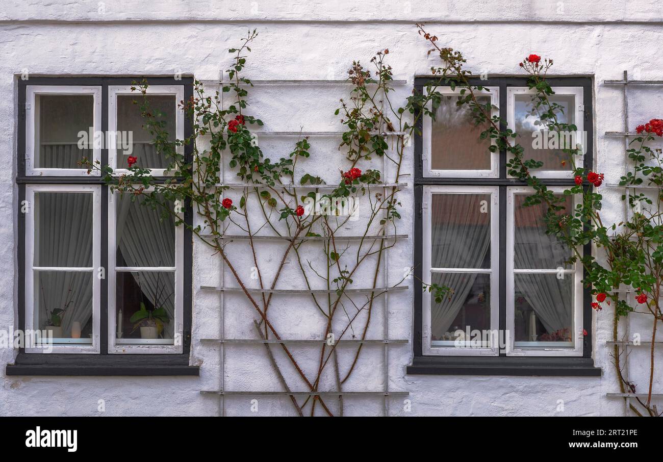 Rose windows exterior hi-res stock photography and images - Alamy