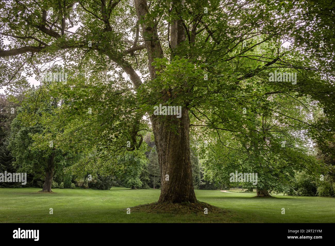 On the western edge of Greiz, the former royal seat of the Principality ...