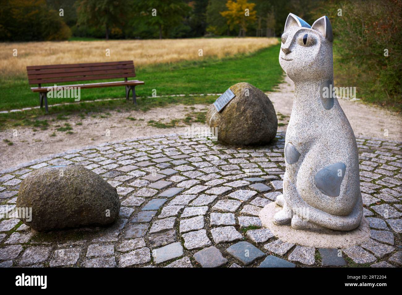 Cat, stones and bench Stock Photo - Alamy