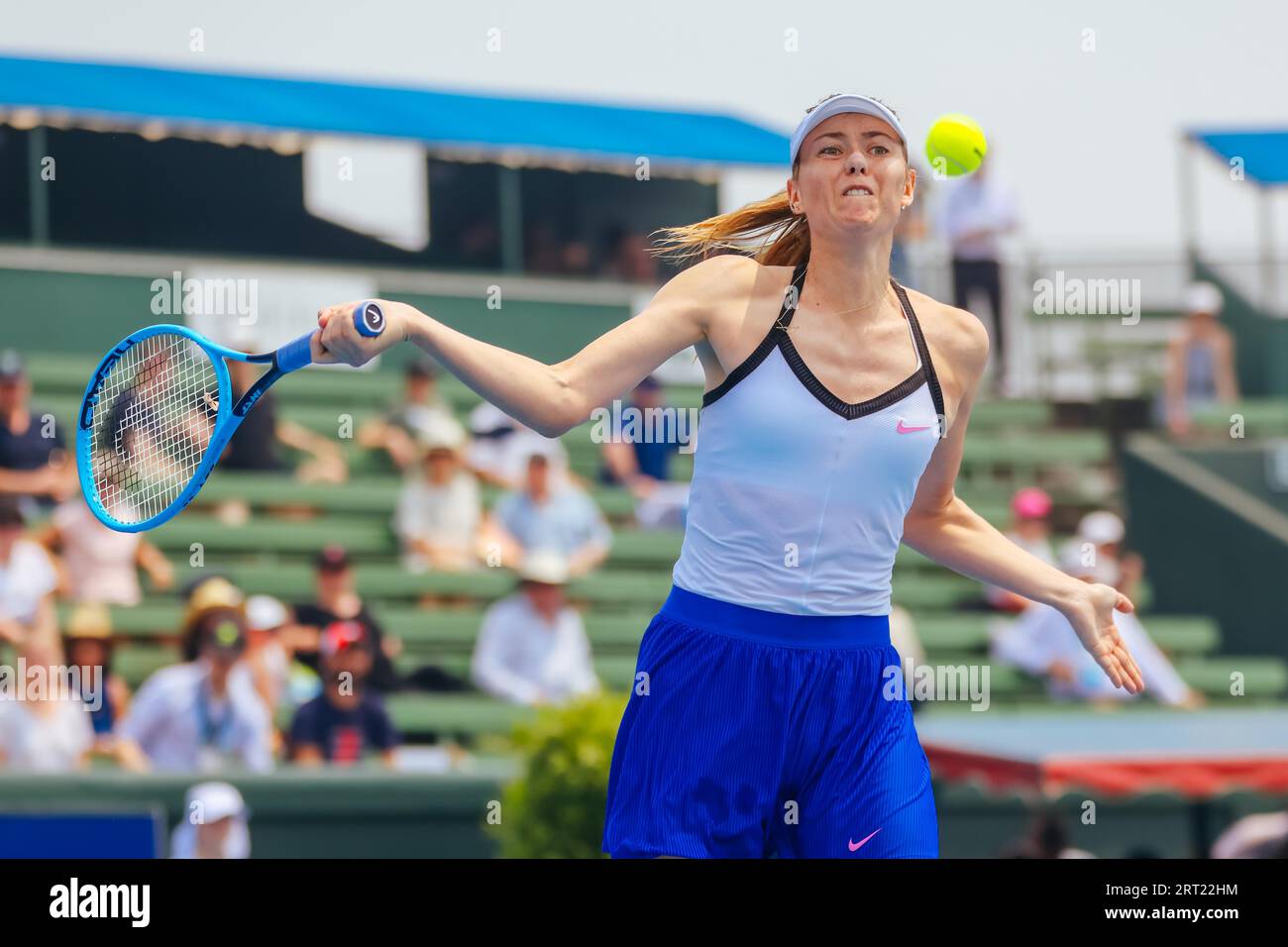 Maria sharapova 2020 hi-res stock photography and images - Alamy