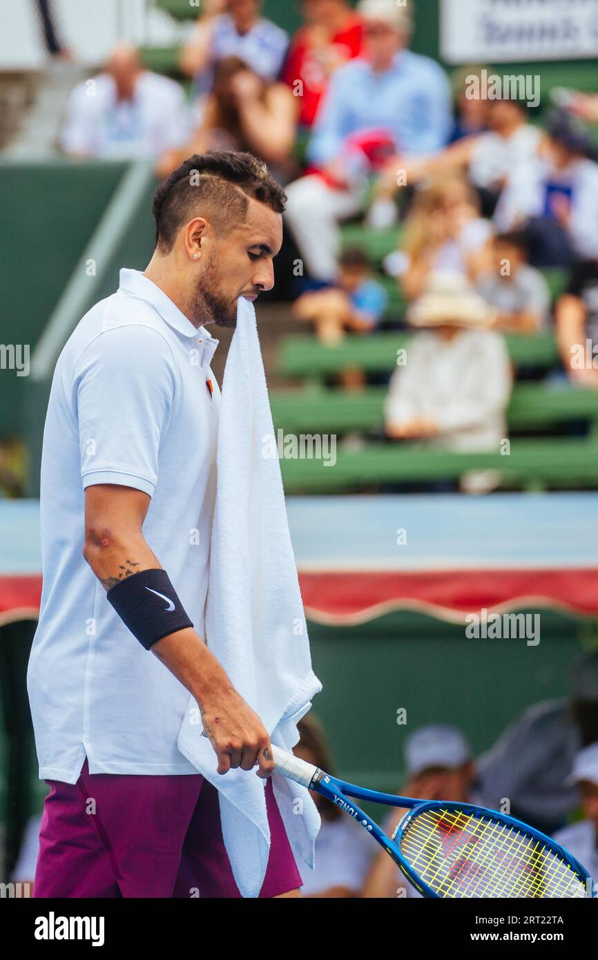 Bul game hi-res stock photography and images - Alamy