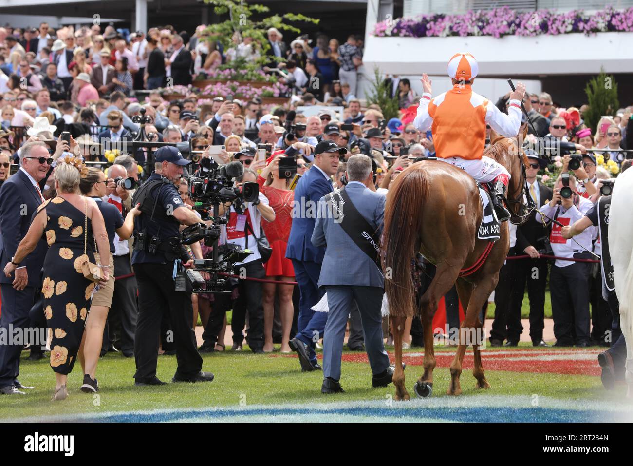 MELBOURNE, AUSTRALIA, NOVEMBER 05, 2019: Horse Vow and Declare after ...