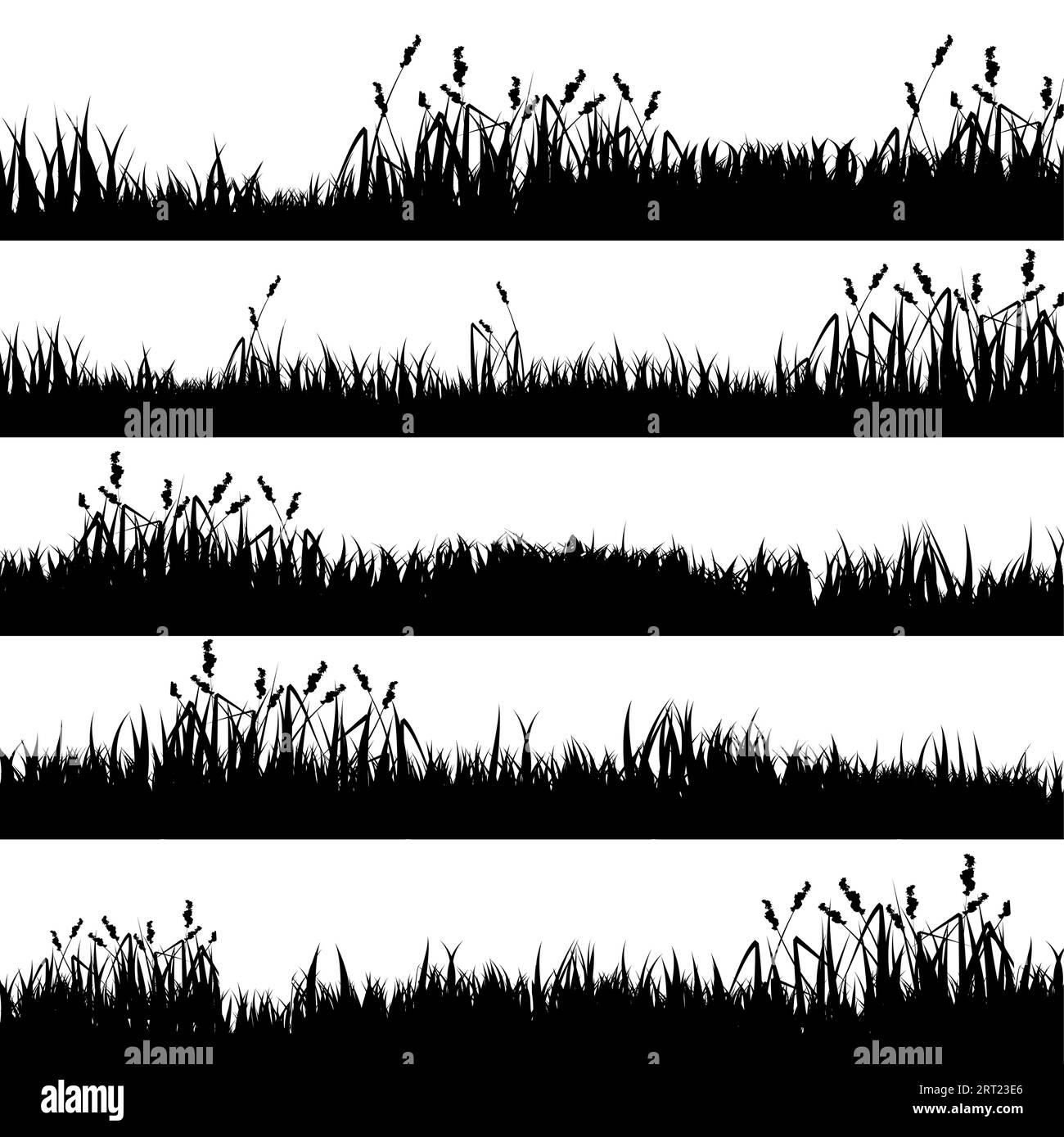 Meadow silhouettes with grass, plants on plain. Panoramic summer lawn ...