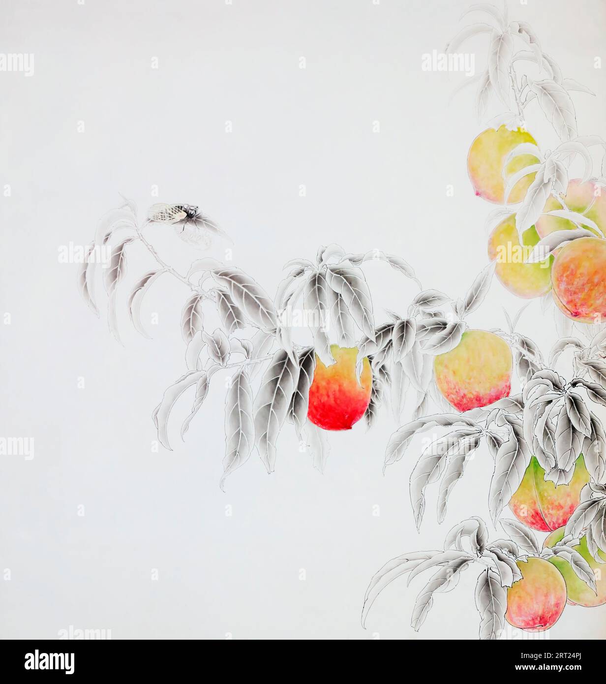 Chinese peach painting hi-res stock photography and images - Alamy