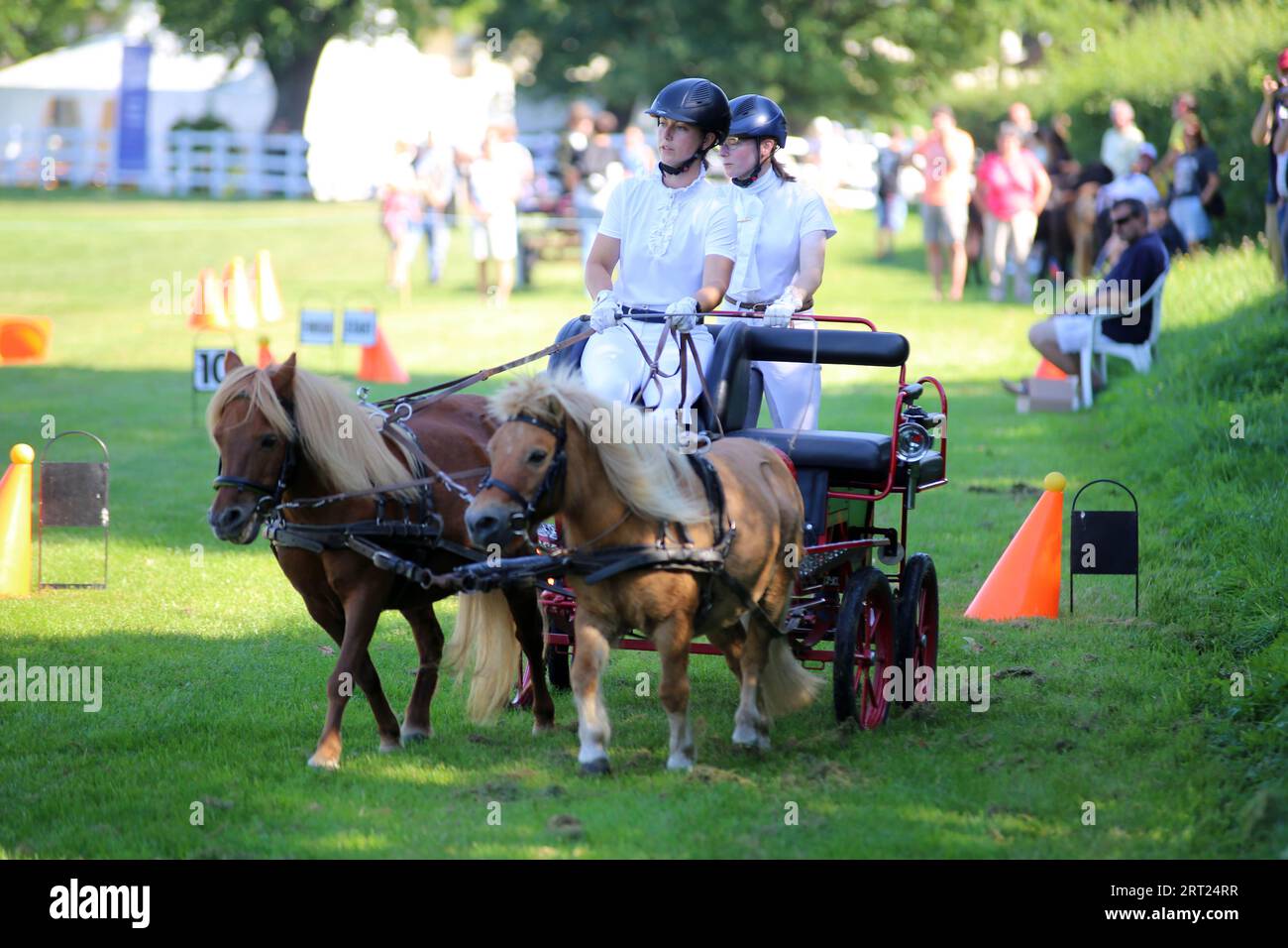 Bad Harzburg, Germany. 10th Sep, 2023. The Shetland ponies Mora and ...