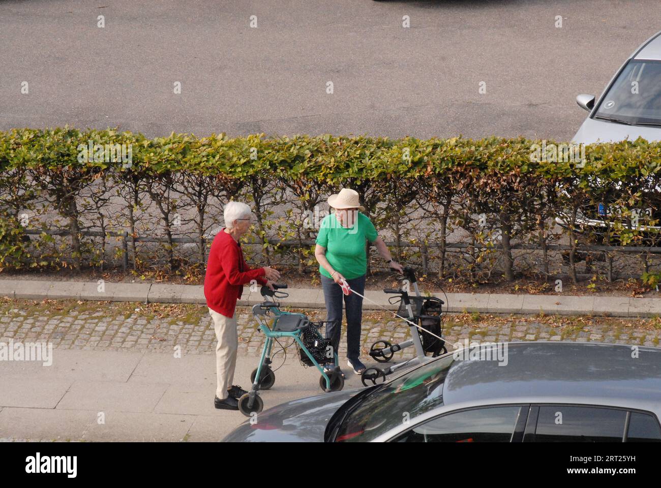 10 Sept. 2023/ Senior citizen female walks pets in Kastrup danish ...