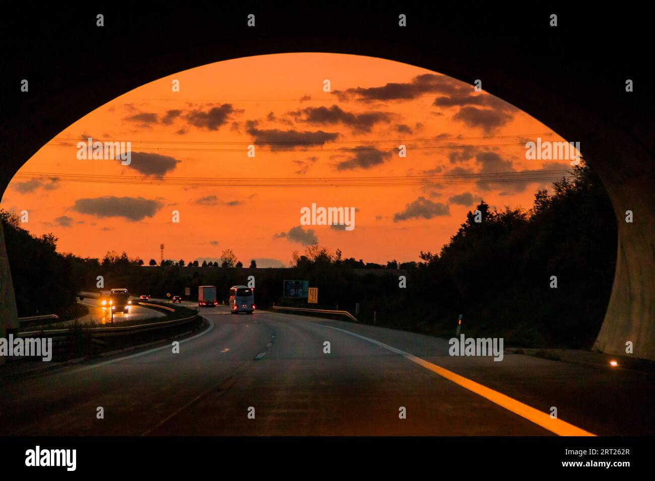 Wildlife bridge on the A17 in the evening. A green bridge or wildlife ...