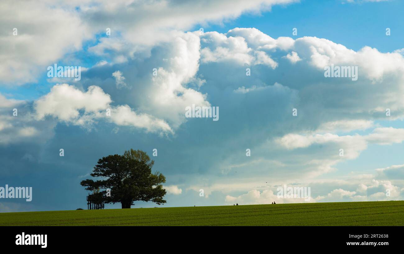 View mountain range poplar hi-res stock photography and images - Alamy