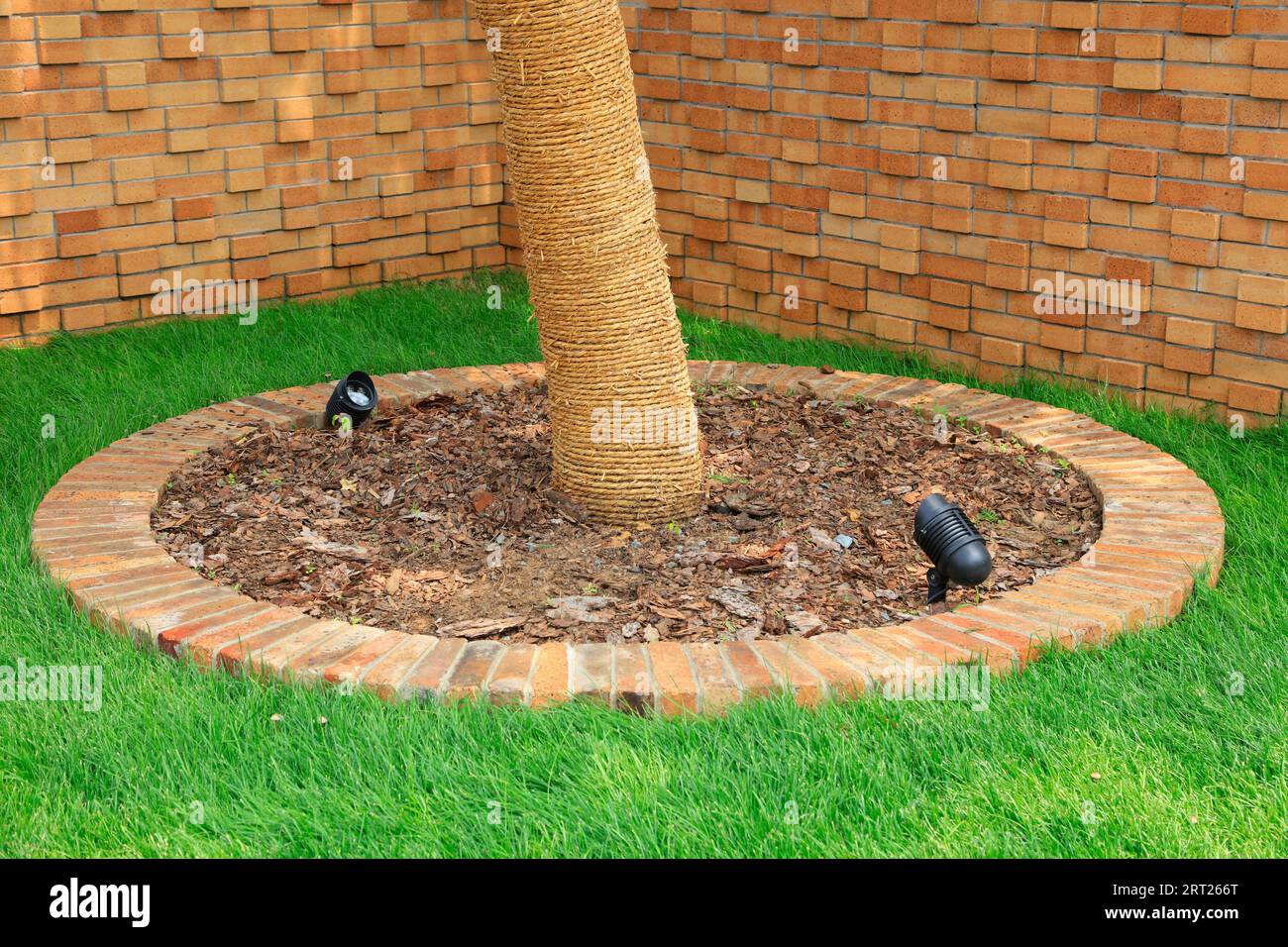Tree trunks and ring-shaped landscapes Stock Photo - Alamy