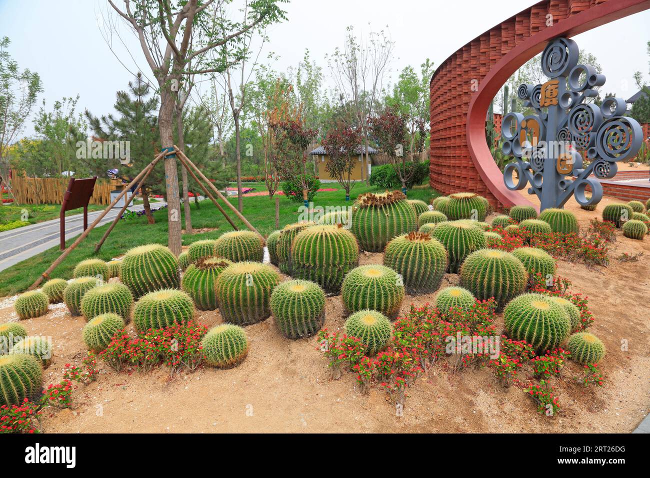China desert planting hi-res stock photography and images - Alamy