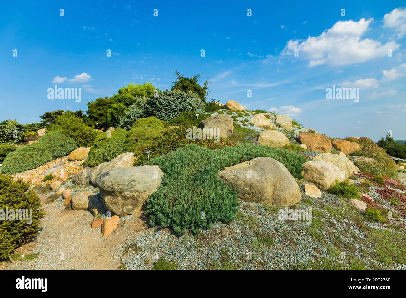 Lusatian erratic block park nochten hi-res stock photography and images ...