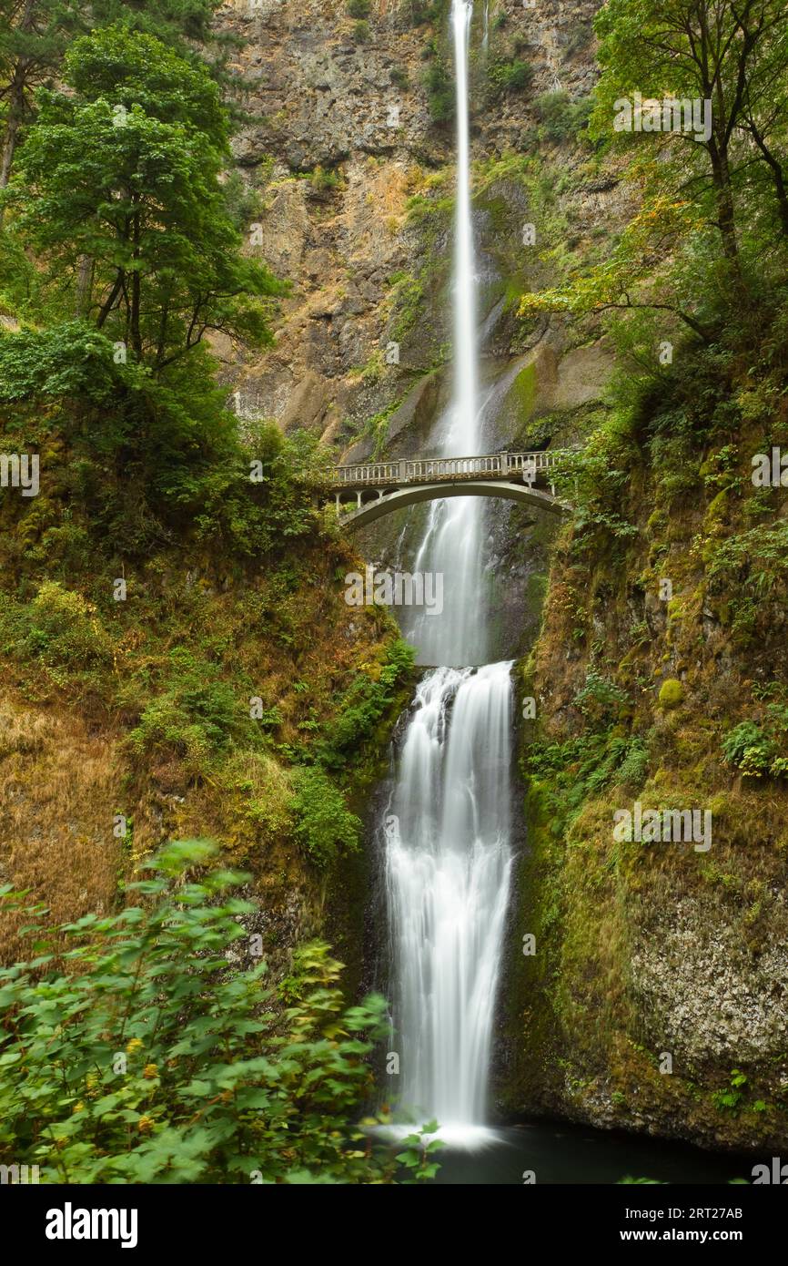 Multnomah Falls - A tall waterfall with footbridge Stock Photo - Alamy