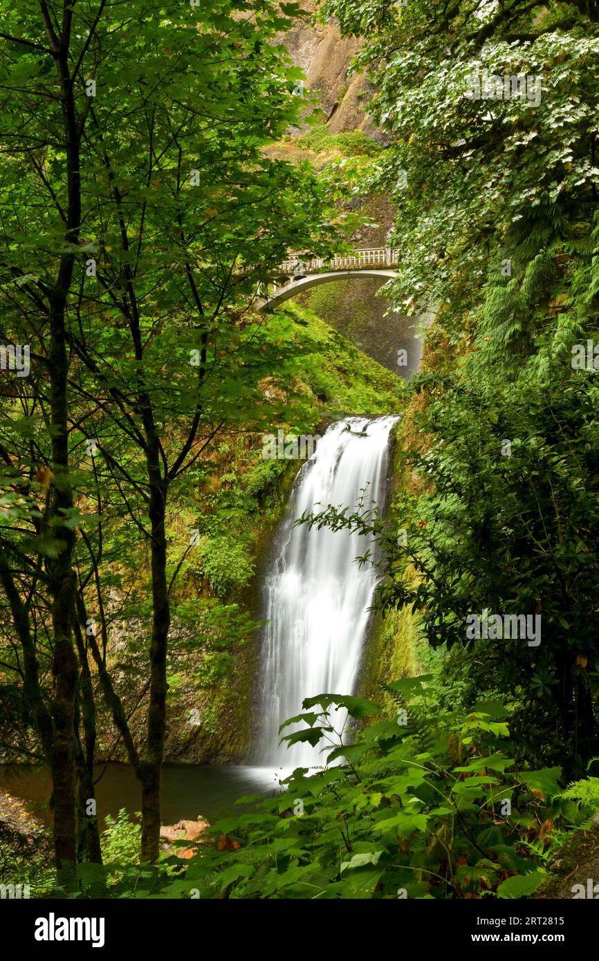 Multnomah Falls - A tall waterfall with footbridge Stock Photo - Alamy