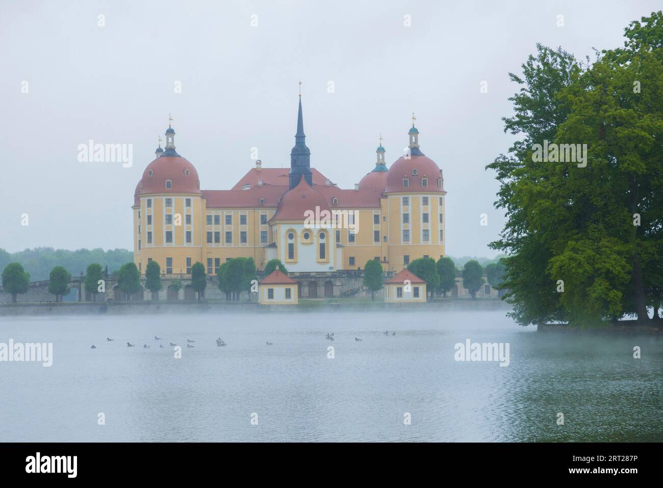 Moritzburg Castle in the rain Stock Photo - Alamy