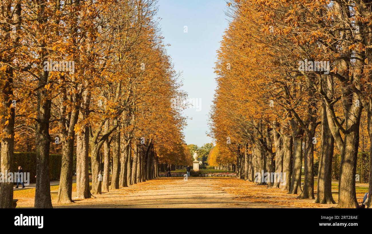 The former summer residence of the Saxon royal family is the largest ...