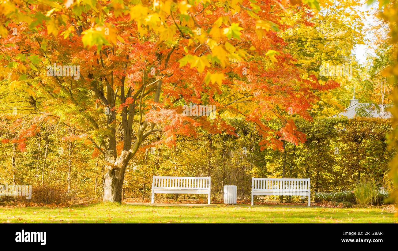 The former summer residence of the Saxon royal family is the largest ...