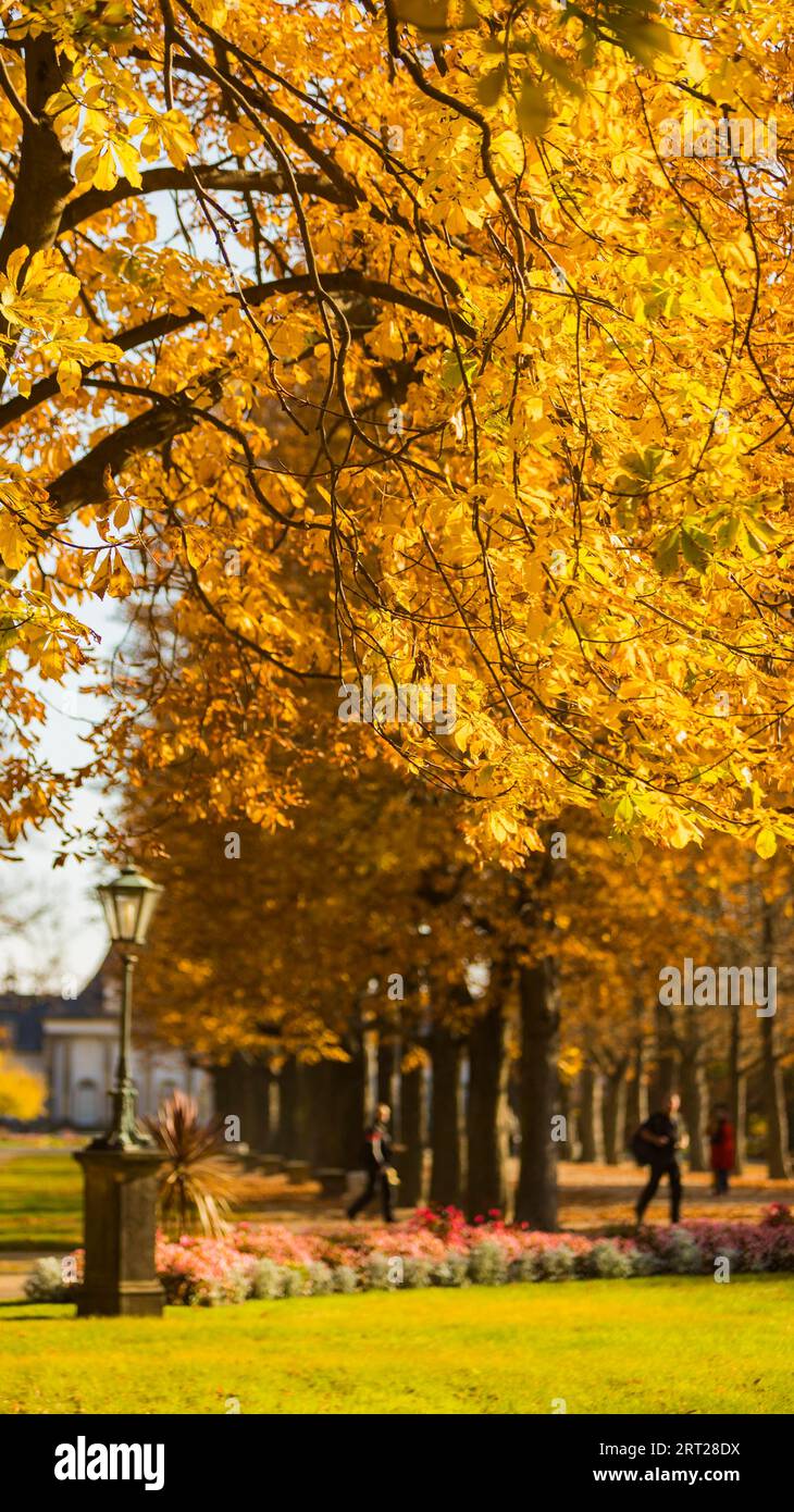 The former summer residence of the Saxon royal family is the largest ...