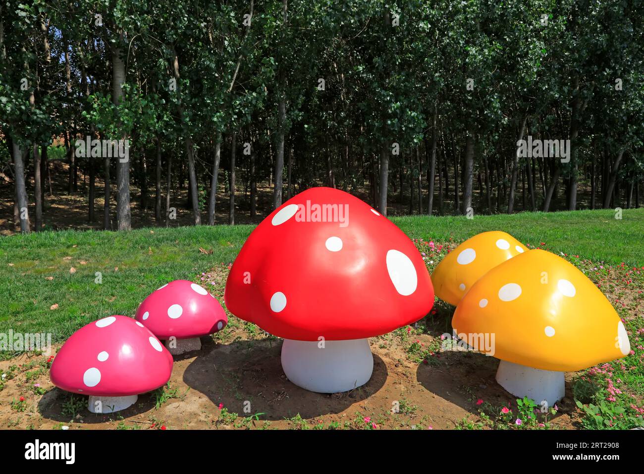 Small mushroom sculptures in hi-res stock photography and images - Alamy