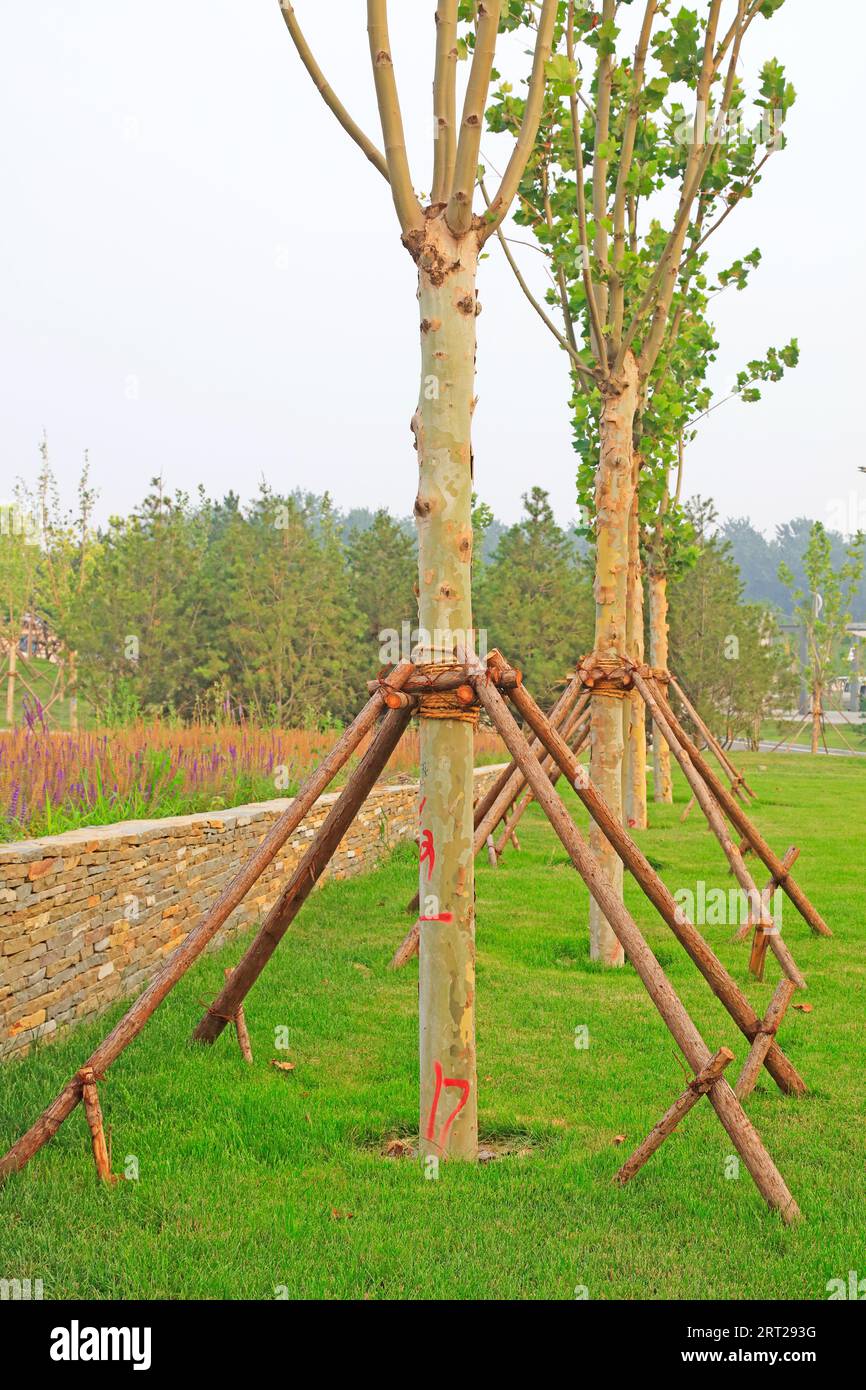 Forestry support hi-res stock photography and images - Alamy