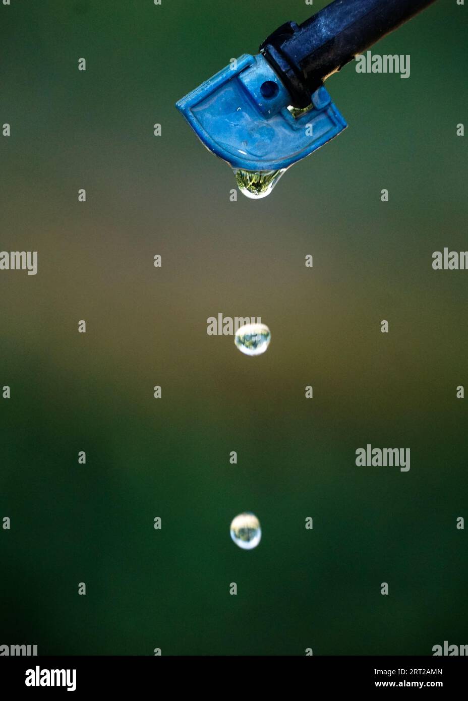 Drop watering hi-res stock photography and images - Alamy