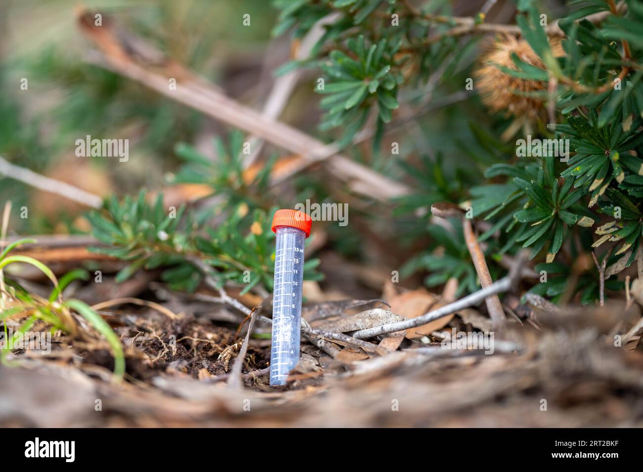 test tube in a field in australia Stock Photo - Alamy