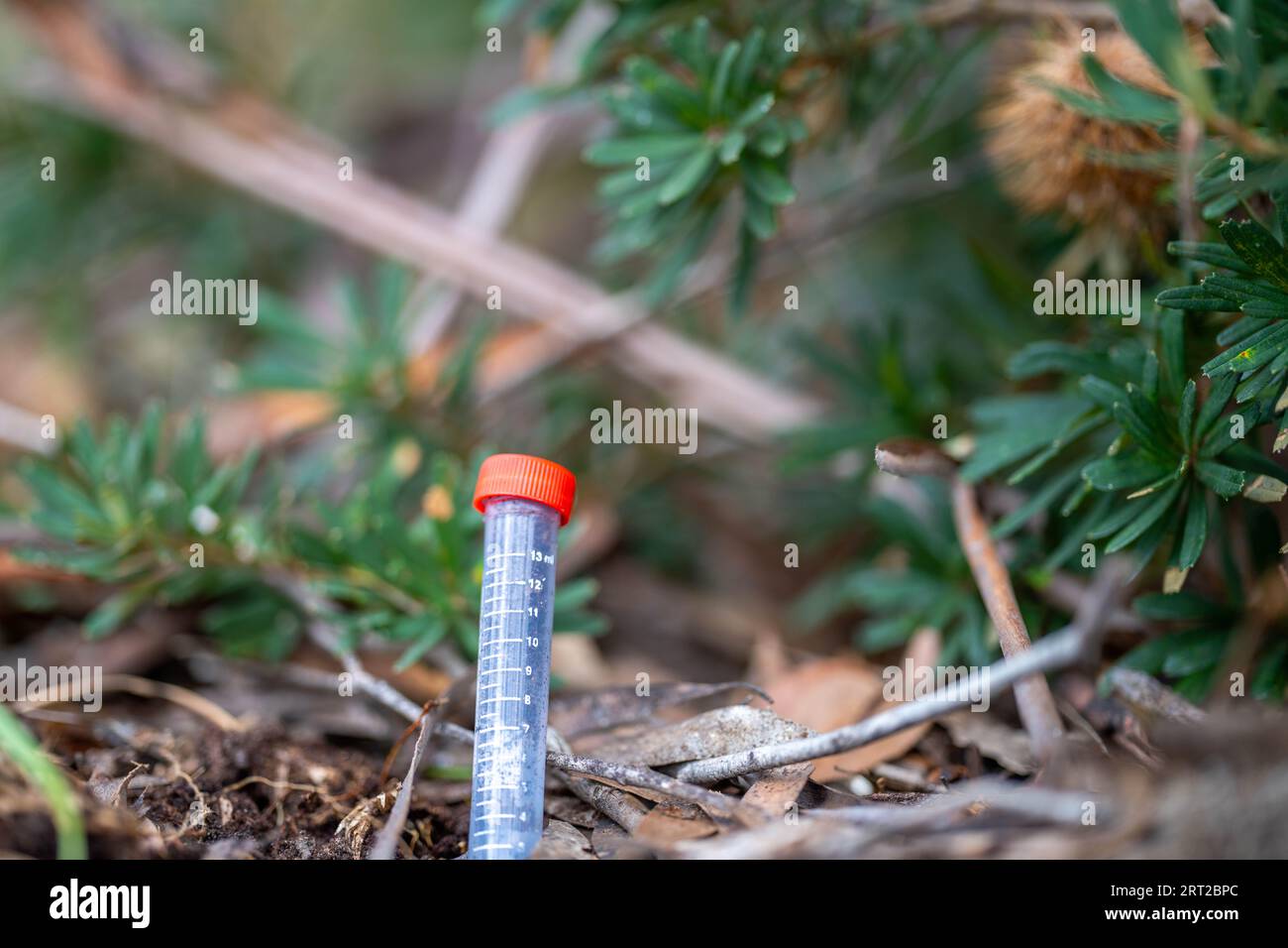 test tube in a field in australia Stock Photo - Alamy