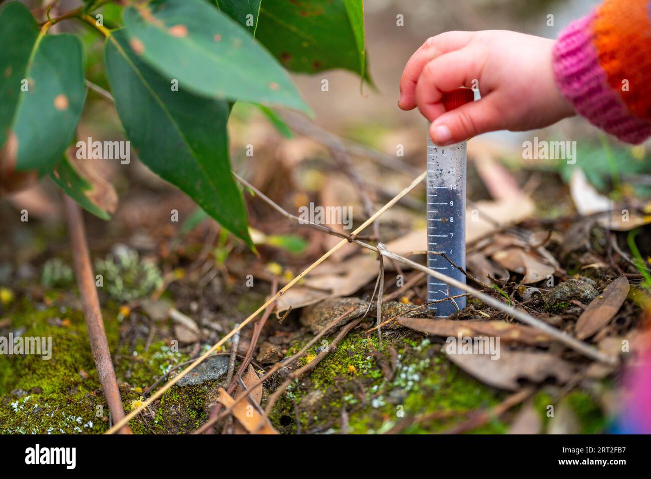 toddler with test tube learning science in the wild Stock Photo - Alamy