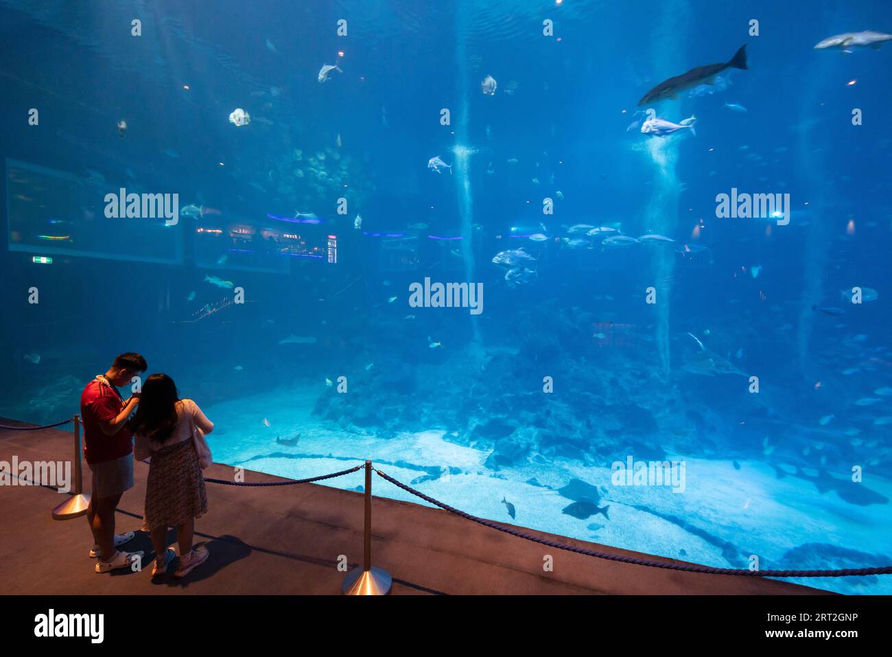 People at S.E.A. Aquarium, Sentosa Island, Singapore Stock Photo - Alamy