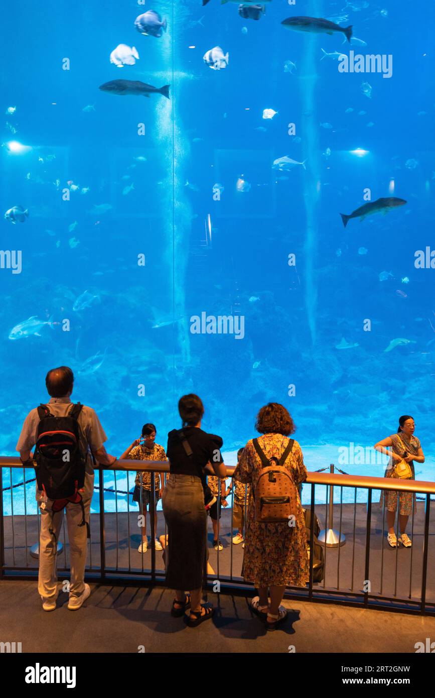 People at S.E.A. Aquarium, Sentosa Island, Singapore Stock Photo - Alamy
