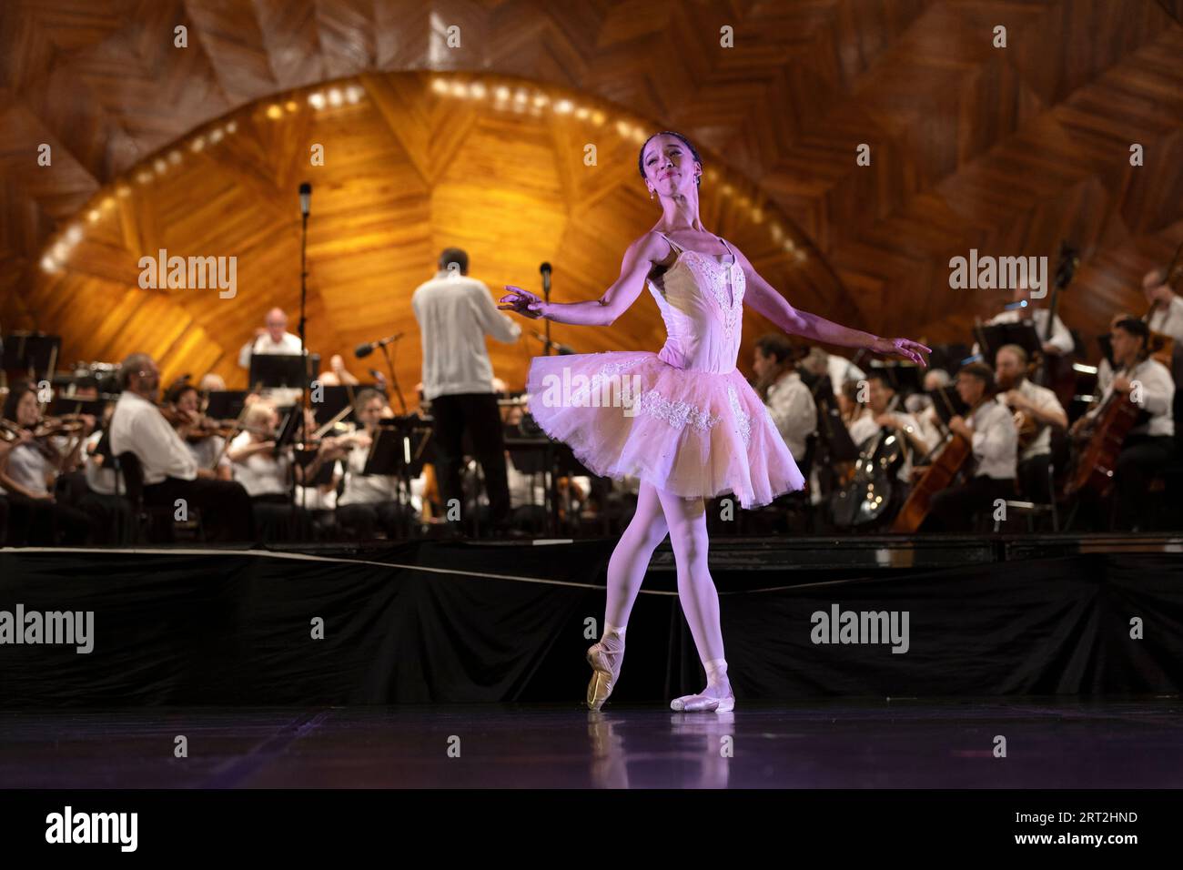 Ballerina perform with the Boston Landmarks Orchestra at the Hatch ...