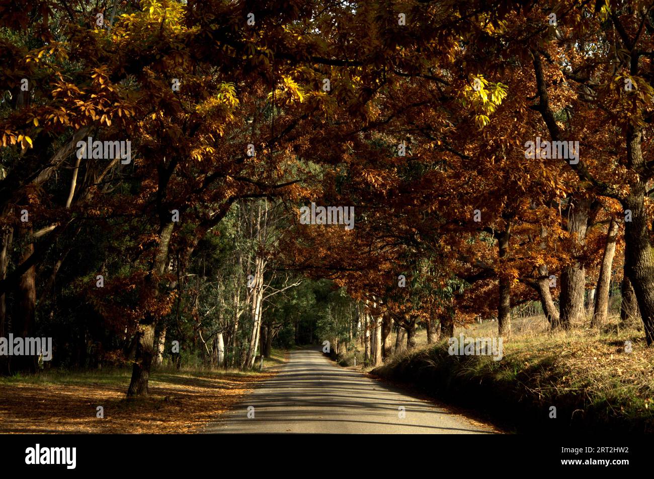 Victorian high country australia hi-res stock photography and images ...