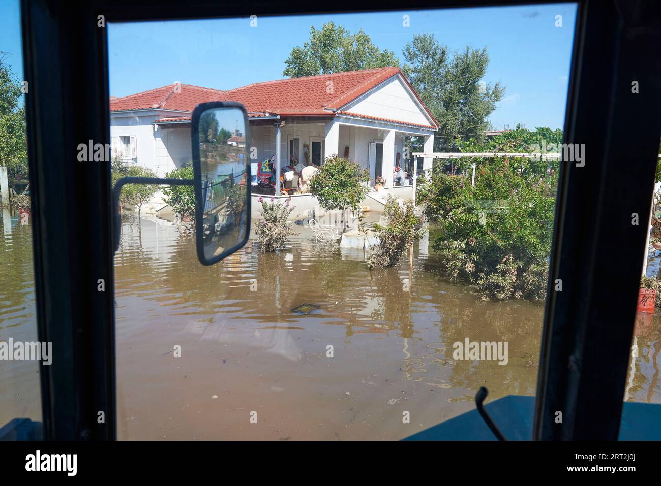Drowned pigs hi-res stock photography and images - Alamy