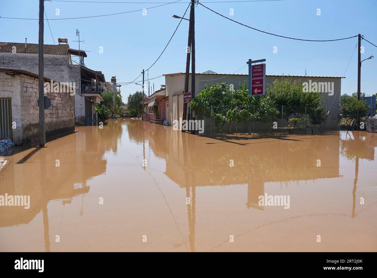 Drowned pigs hi-res stock photography and images - Alamy