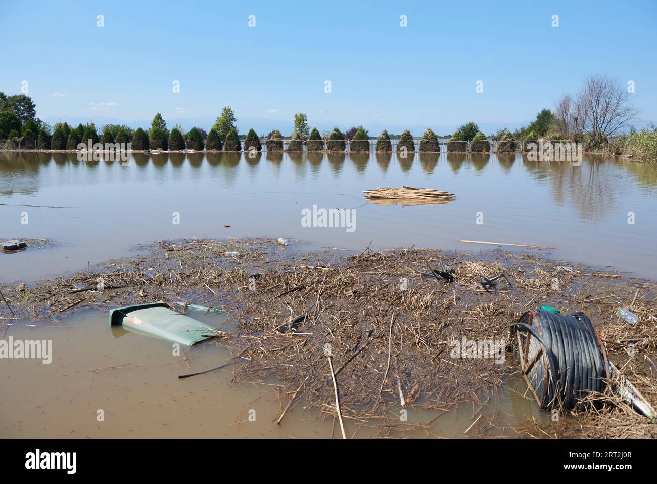 Drowned pigs hi-res stock photography and images - Alamy