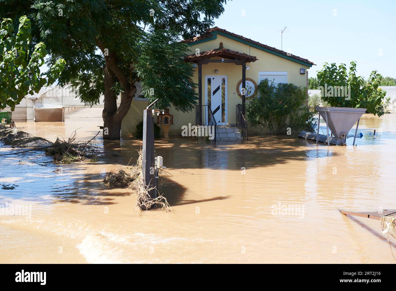 Drowned pigs hi-res stock photography and images - Alamy